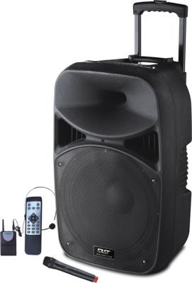 China Powerful 150W Portable Bluetooth Trolley Speaker System For Outdoor Party for sale