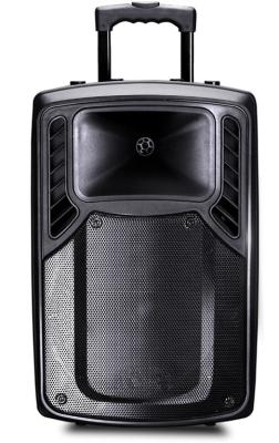 China Rechargeable Plastic Portable Trolley Speakers , Portable Active PA Speaker for sale