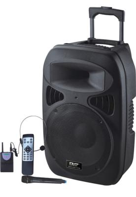 China High Power 120 Watt Portable Trolley Speakers , Bluetooth Powered PA Speakers for sale
