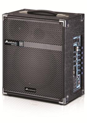 China Wireless Microphone Portable PA Speaker System / Active Outdoor Speakers for sale