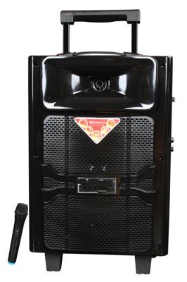 China Outdoor Digital Rechargeable Trolley Speaker , Battery Powered Bluetooth Speaker for sale