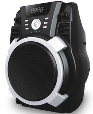 China Outdoor Portable Battery Powered Active Speaker Systems With SD / FM And USB for sale