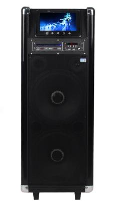 China Double 12 Inch Woofer Portable Speaker System On Wheels , Battery Powered for sale