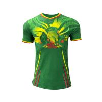 China Breathable Fabric Soccer Team Jersey Support Personalized Customization for sale
