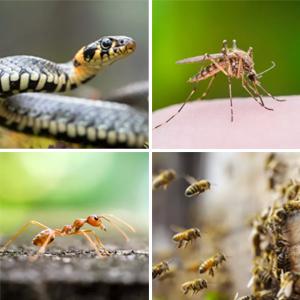 Kit in hard-shell case