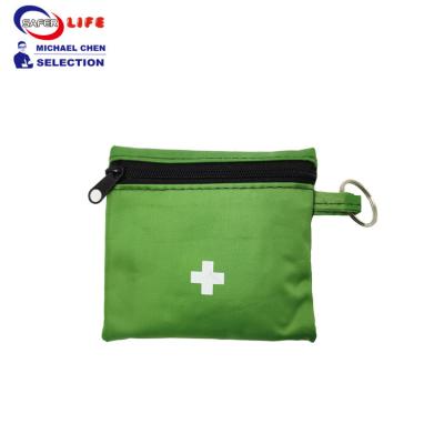 Cina Cassette di pronto soccorso di dimensione di viaggio di Diy della tasca all'ingrosso il cane di animale domestico della medicina dei rifornimenti Cat Easy Carry 18cm in vendita