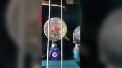 Automatic Pusher Centrifuge for Industrial Salt Production
