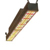 Quality 600w 2 Channels Greenhouse LED Grow Light Greenhouse Grow Lamps 100-277VAC 50 for sale