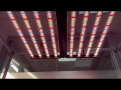 Dimmable Bar Style Led Grow Lights Full Spectrum 800w Lm301h Indoor LED Grow Light