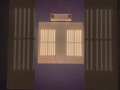 240w led quantum board