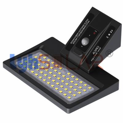 Cina La piattaforma solare nera del sensore di moto accende 5W 3000K il TDC per illuminazione decorativa del giardino in vendita