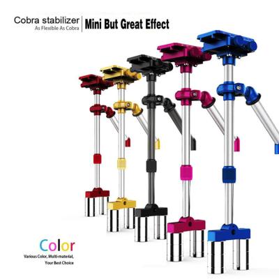 Cina Del carbonio mini DSLR stabilizzatore tenuto in mano della macchina fotografica della fibra con alta precisione in vendita