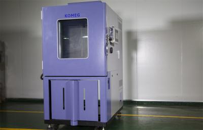 Cina Camera di prova climatica della grande porta di vetro interna con il regolatore temi880 disponibile in vendita