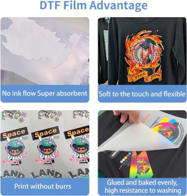 China 60cm Digital Printing DTF Heat Transfer PET Film DTF Printer Film Men Canvas Shoes T-shirts Printing DTF Paper PET Film for sale