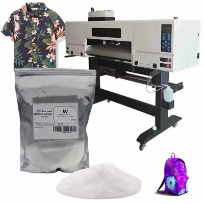 Cina 1 kg 5 kg 15 kg Polvere adesiva a fusione calda TPU Polvere Dtf per la stampa con stampante Dtf in vendita