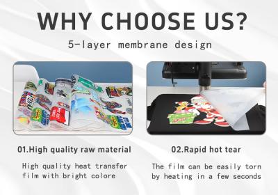 중국 냉각 단일 면 A3 30cm 33cm 60cm 너비 100m Dtf 롤 종이 판매용