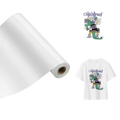 30CM*100M Hot Peel Single Double Side Roll DTF Transfer Film for DTF Inkjet Printer