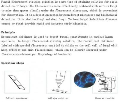 Китай Fungal Fluorescent Staining Solution продается