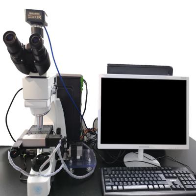 Cina Binocular biological microscope fluorescence optical microscope in vendita