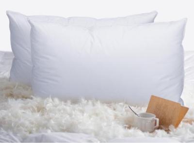 China Mite-proof, Water-resistant & Stain-resistant 100% Cotton Down Pillow for sale