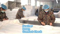 feather and down products check