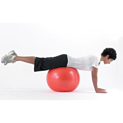 Chine Soft Exercise Ball Stabilizes abs core Yoga ball à vendre