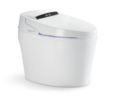 China Elegant Smart Toilets 2214 Intelligent Electric Bidet Toilet with Soft Close Seat for sale
