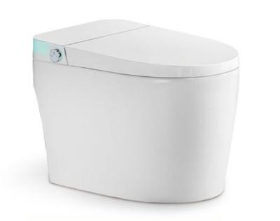 China Intelligent Electric One Piece Smart Toilet Model - 2308 White for sale