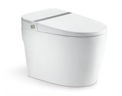 China Intelligent Electric One Piece Smart Toilet Model - 2201 for sale