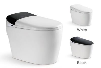 China Intelligent Electric One Piece Smart Toilet Model - 2217 for sale