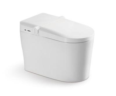 China Intelligent Electric One Piece Smart Toilet Model - 2218CHJ Automatic Pad Change for sale