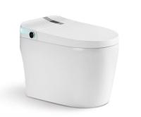 Quality Intelligent Electric One Piece Smart Toilet Model - W10 for sale