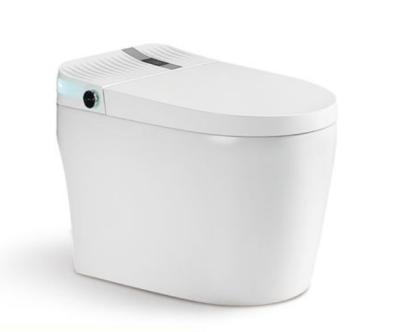 China Automatic Smart Toilets W10 Electric One Piece Bidet Toilet with Heated Seat for sale