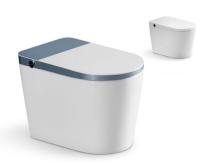 Quality Light Intelligent Electric One Piece Smart Toilet Model - 2236 L for sale