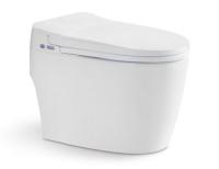 Quality Light Intelligent Electric One Piece Smart Toilet Model - 2230 L for sale