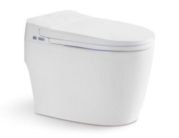 Quality Light Intelligent Electric One Piece Smart Toilet Model - 2230 L for sale