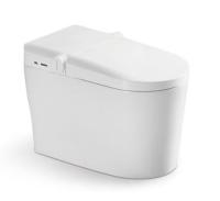 Quality Light Intelligent Electric One Piece Smart Toilet Model - 2218 CL for sale