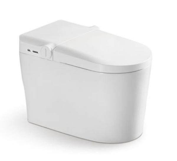 Quality Light Intelligent Electric One Piece Smart Toilet Model - 2218 CL for sale
