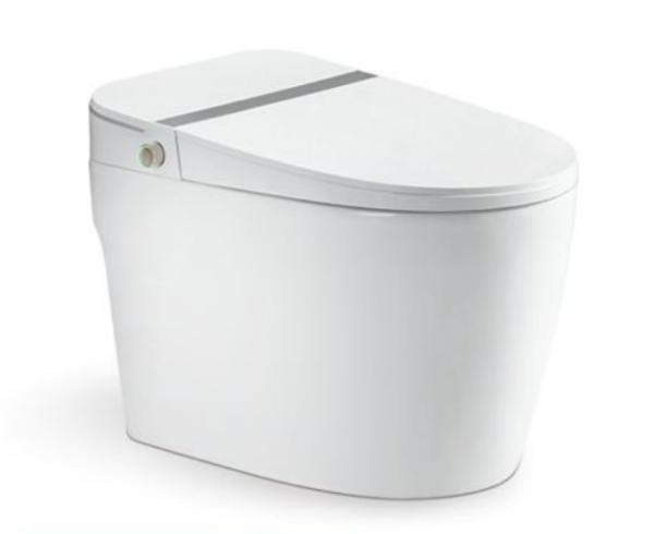 Quality Light Intelligent Electric One Piece Smart Toilet Model - 2201 L for sale