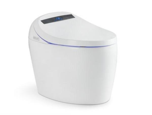Quality Light Intelligent Electric One Piece Smart Toilet Model - 2206 L for sale