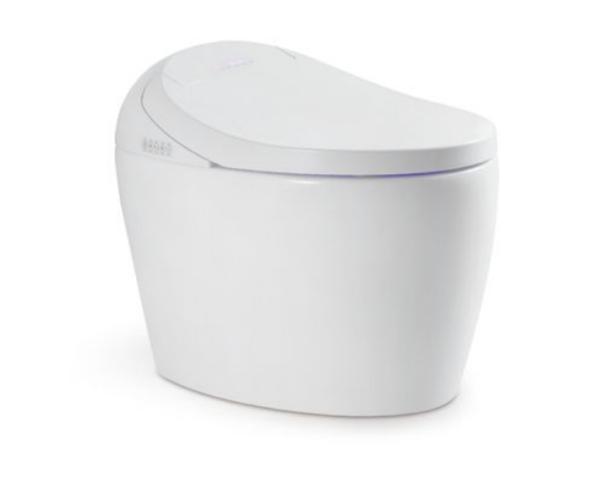 Quality Light Intelligent Electric One Piece Smart Toilet Model - 2205 L for sale