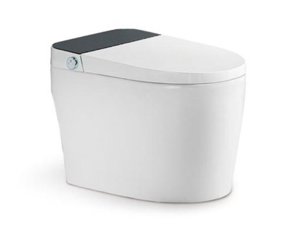 Quality Light Intelligent Electric One Piece Smart Toilet Model - 2308 L for sale