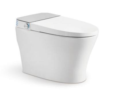 China Light Intelligent Electric One Piece Smart Toilet Model - 2049 L for sale