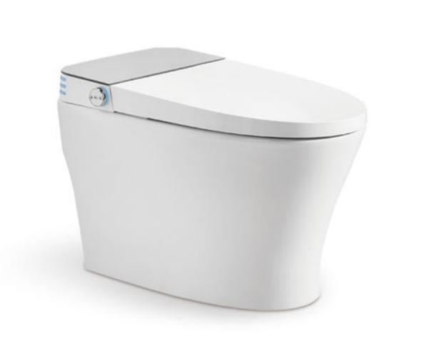 Quality Light Intelligent Electric One Piece Smart Toilet Model - 2049 L for sale