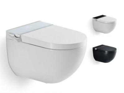 China Intelligent Electric Wall Hung Smart Toilet Model - 2242 Traditional Concealed In-Wall Cistern for sale
