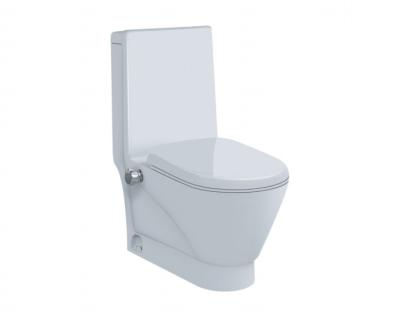 China Washdown One-Piece Toilet – Floor-Mounted Ceramic Toilet - AB2083 for sale
