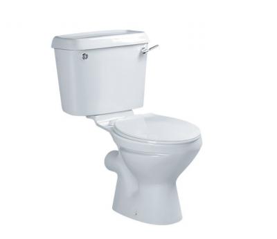 China Washdown Two-Piece Toilet – Floor-Mounted Ceramic Toilet - E5029-E for sale