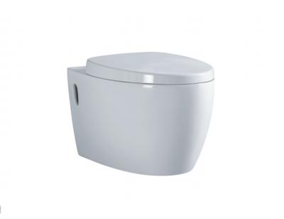 China Bathroom Wall Hung Toilets H5006 Modern Wall Mounted Toilet with Soft Close Seat for sale