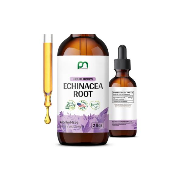 Quality Alcohol Free Immune Support Drops Liquid Echinacea Supplement 680mg Glycerin Based for sale