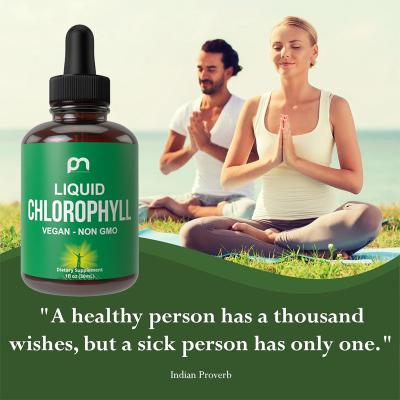 China Peak Performance Liquid Chlorophyll Supplement Vegan, Non-GMO Mulberry Leaf Extract for sale